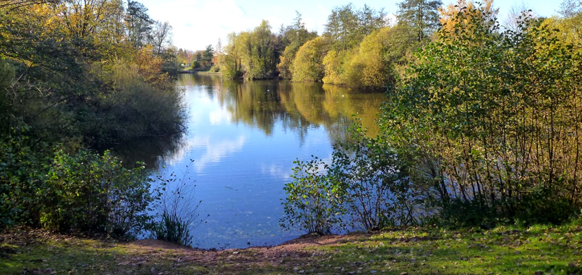 Ryton Pools Country Park
